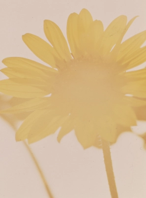 PQ-Corner – Connect